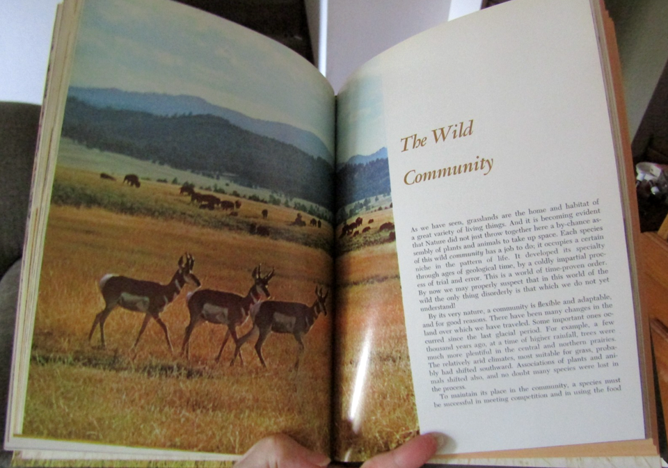 Vintage Our Living World of Nature Series, Set of 12 Books McGraw Hill ...