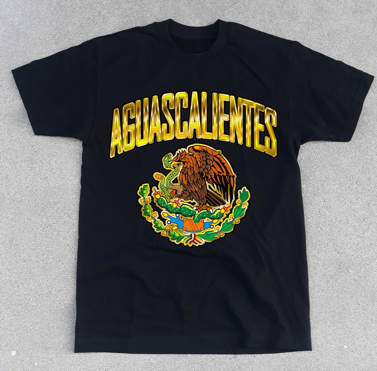 Aguascalientes State Mexico