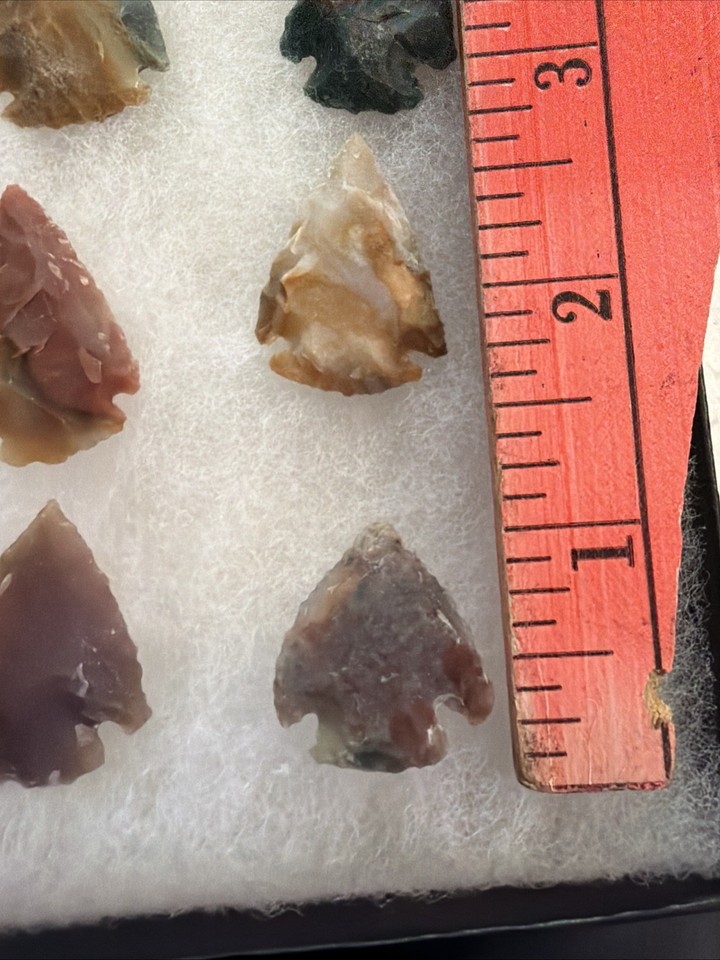 Collection! LOT of 36 Smaller Flint ARROW HEADS in DISPLAY Case. 1”-1 1 ...