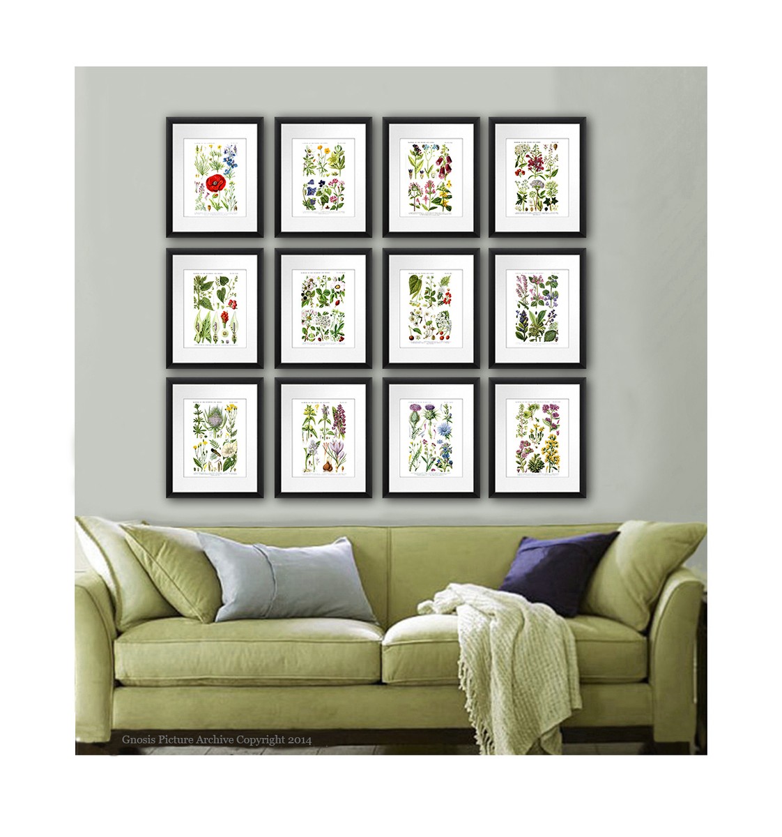 English Botanical Prints 15 Antique Botanical Studies – Natalia