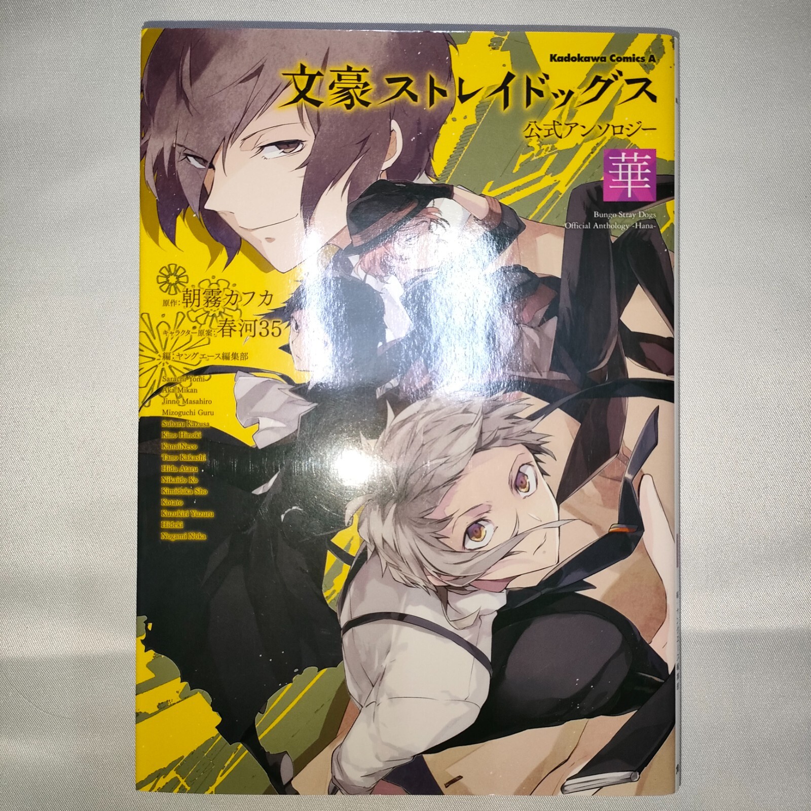 Bungo Stray Dogs Rakugaki Art Book & Official Anthology & Character ...