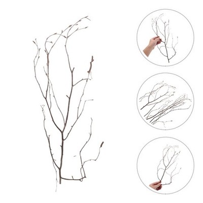20 Pcs Birch Trunk Bouquet Decorative Tree Branches Sticks for Bark ...