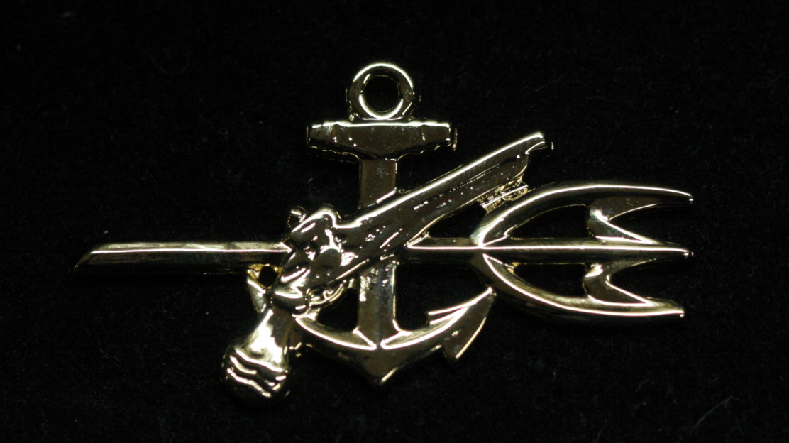 SPECIAL WARFARE BADGE UDT GOLD HAT PIN UP MADE IN US NAVY SEAL TEAM ...