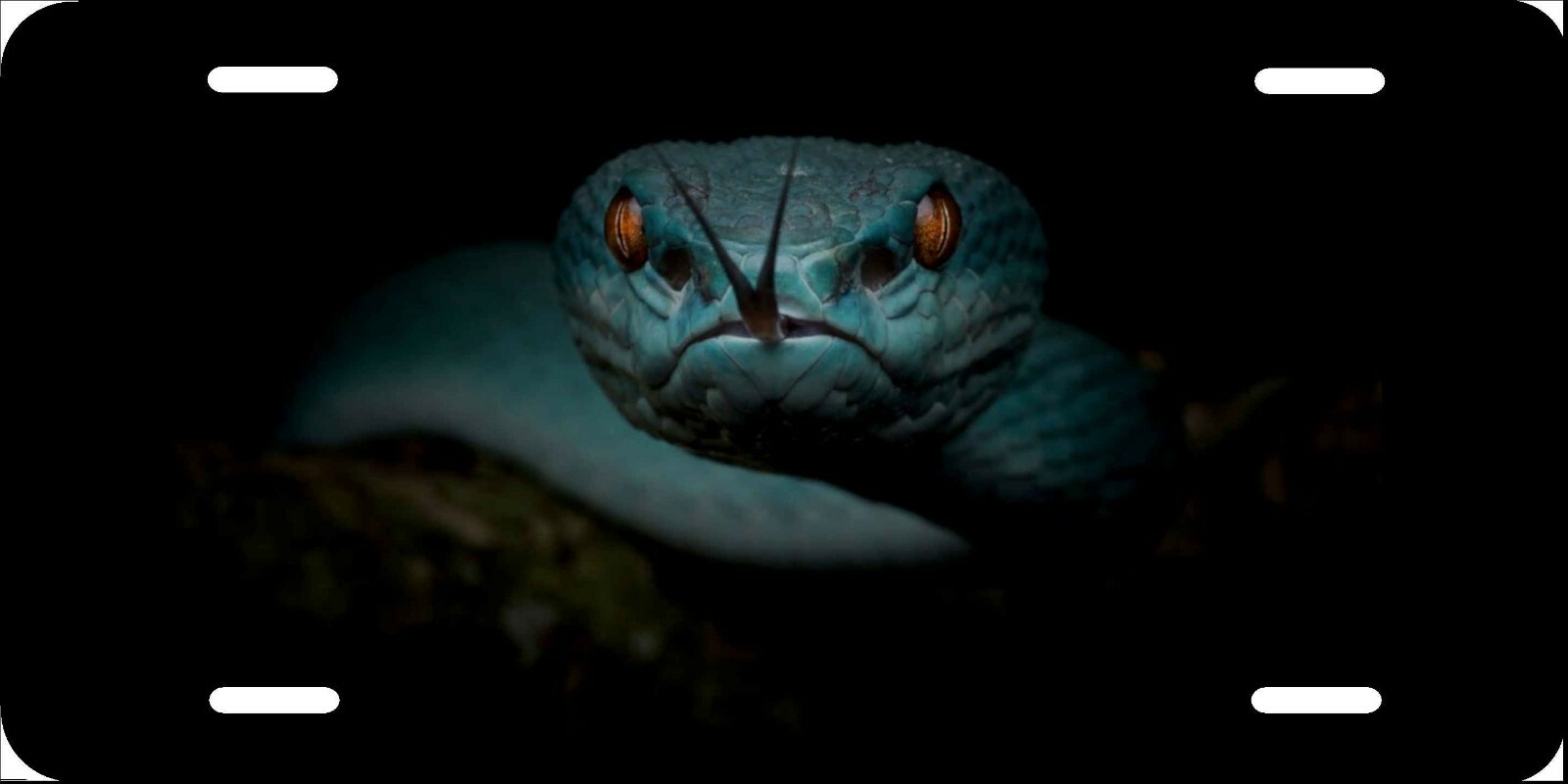 Blue Snake, License Plate New Car Tag Metal Aluminum, USA | eBay