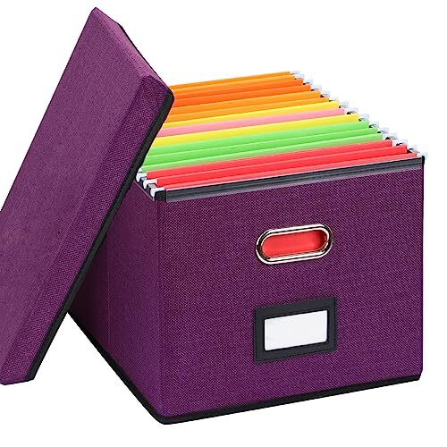 File Folder Organizer,1 Pack, File Organizer Box, File Filing Box, File ...