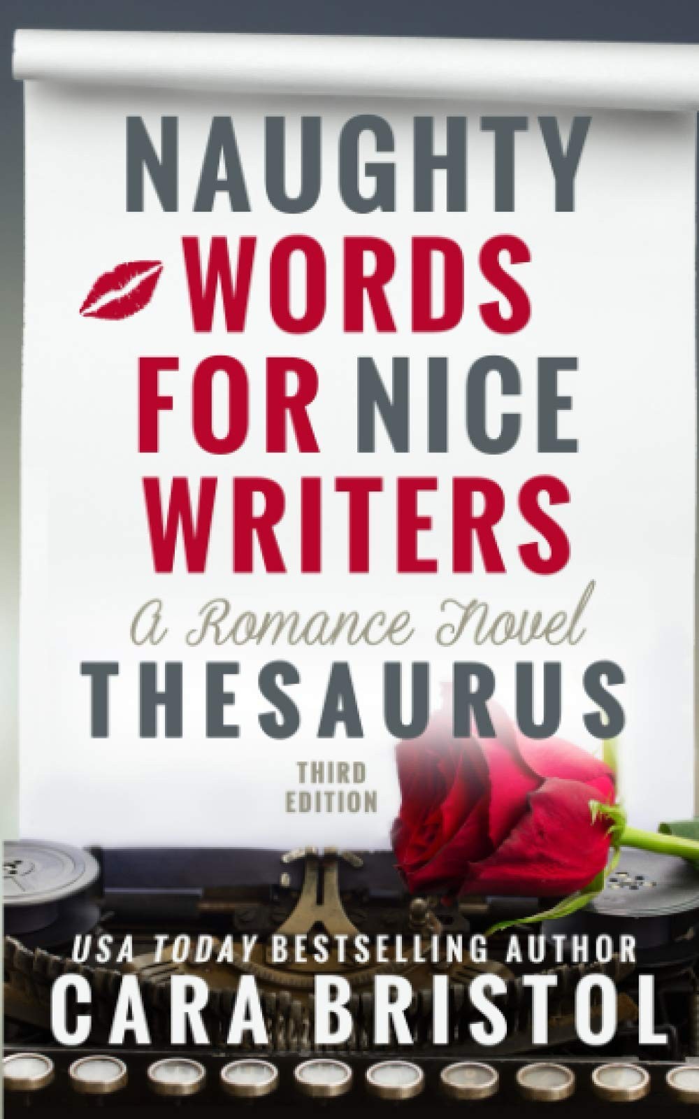 Naughty Words for Nice Writers: A Romance Novel Thesaurus by Bristol | eBay