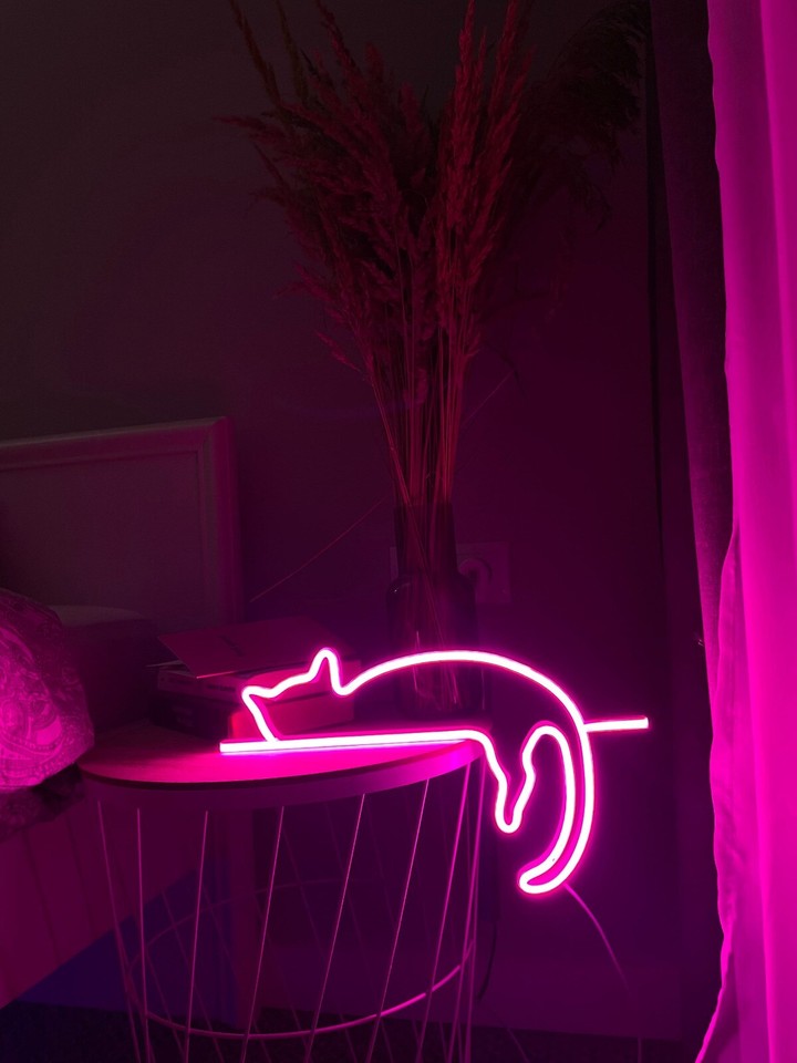 cat neon sign art decor Neon light wall art signs cute cat decor, gift ...