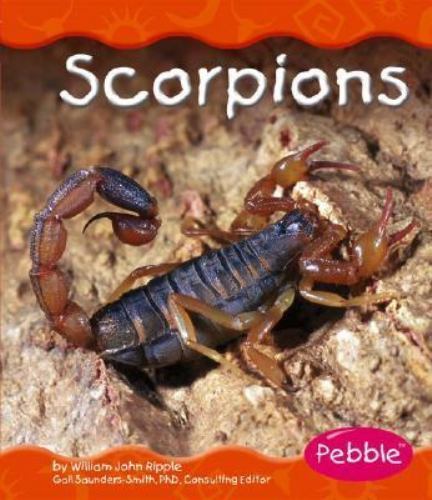 Scorpions by William J. Ripple (2005, Hardcover) for sale online | eBay