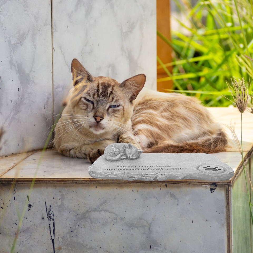 Kitten Design Memorial Stone Adorable Tombstone Cat Decor Urn | eBay UK