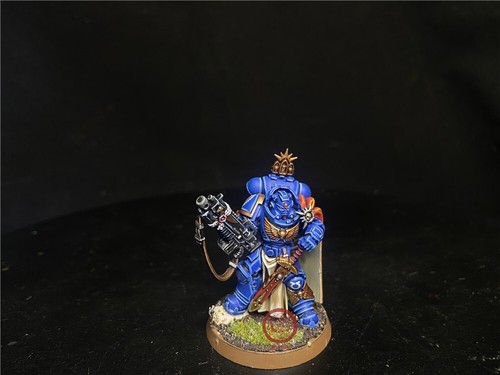 40K DPS painted Space Marines Captain with Master-crafted Heavy Bolt ...