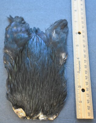 Lot 55, Natural India Rooster Streamer Neck Cape Feathers for Fly Tying ...