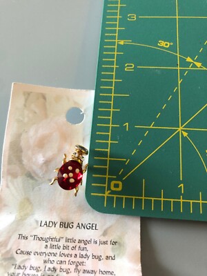 Lady Bug Angel Pin | eBay