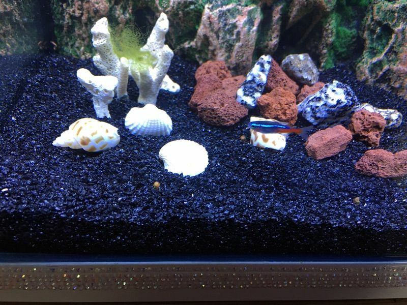 All Black Aquarium Gravel Comfort Aquarium Black Sand River Rock