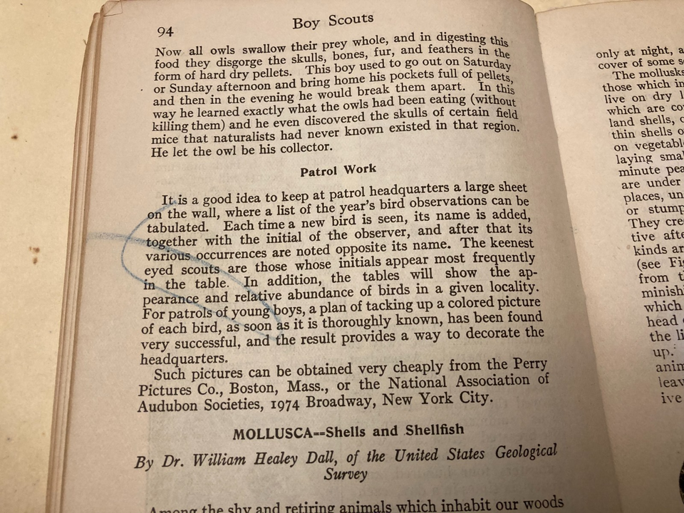 1911 Boy Scouts of America Handbook 1st Edition First Printing 400 #'d ...