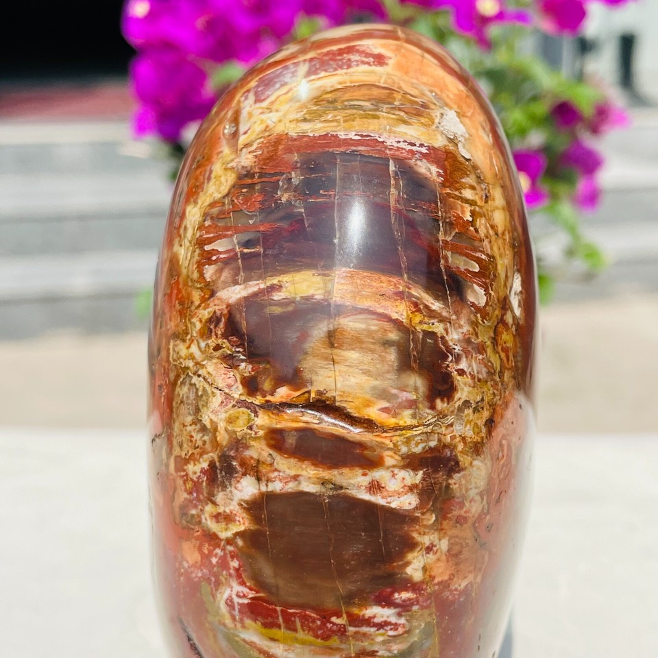 2.55LB Natural Red Petrified Wood Fossil Crystal Landscape Stone ...