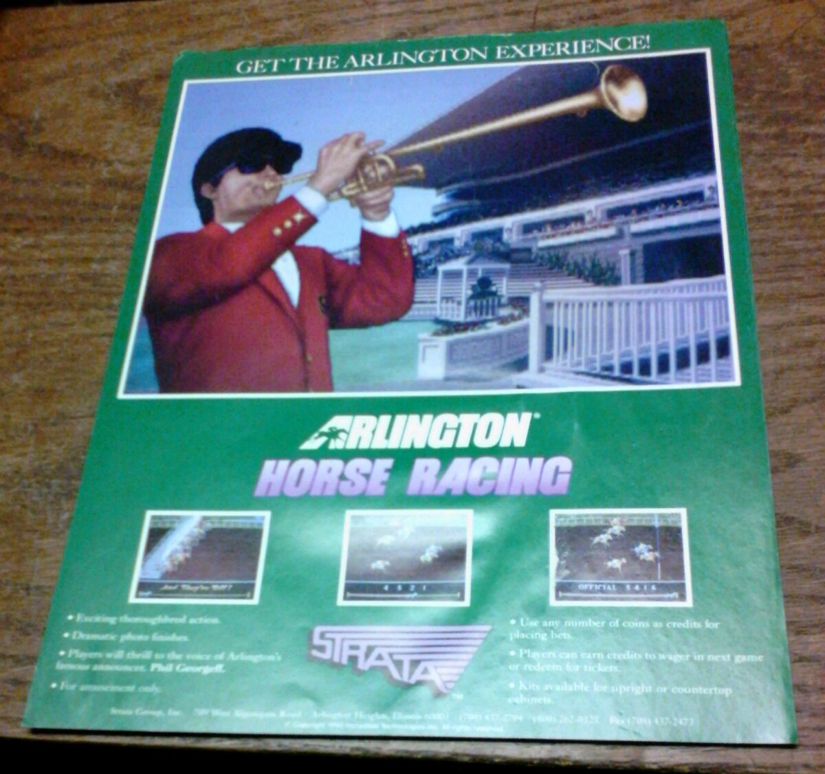Strata ARLINGTON HORSE RACING Arcade Video Game flyer- original | eBay