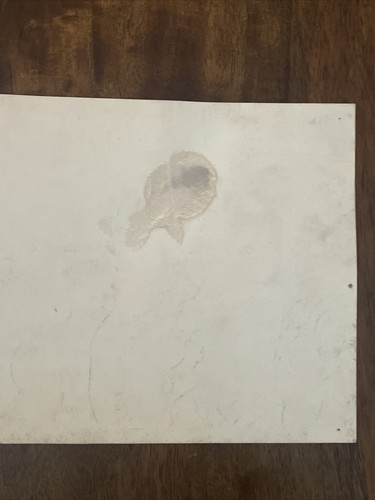 RARE Frank Lank Leonard Cartoonist Original Hand Drawn Comic Strip ...