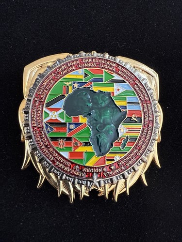 MSG Marine Corps Embassy Security Group Region 6 Africa Challenge Coin ...
