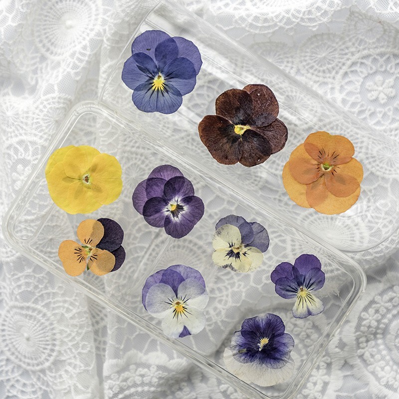 12PCS Real Pressed Dry Pansies/Violas Flower for art candle craft FSS47 ...