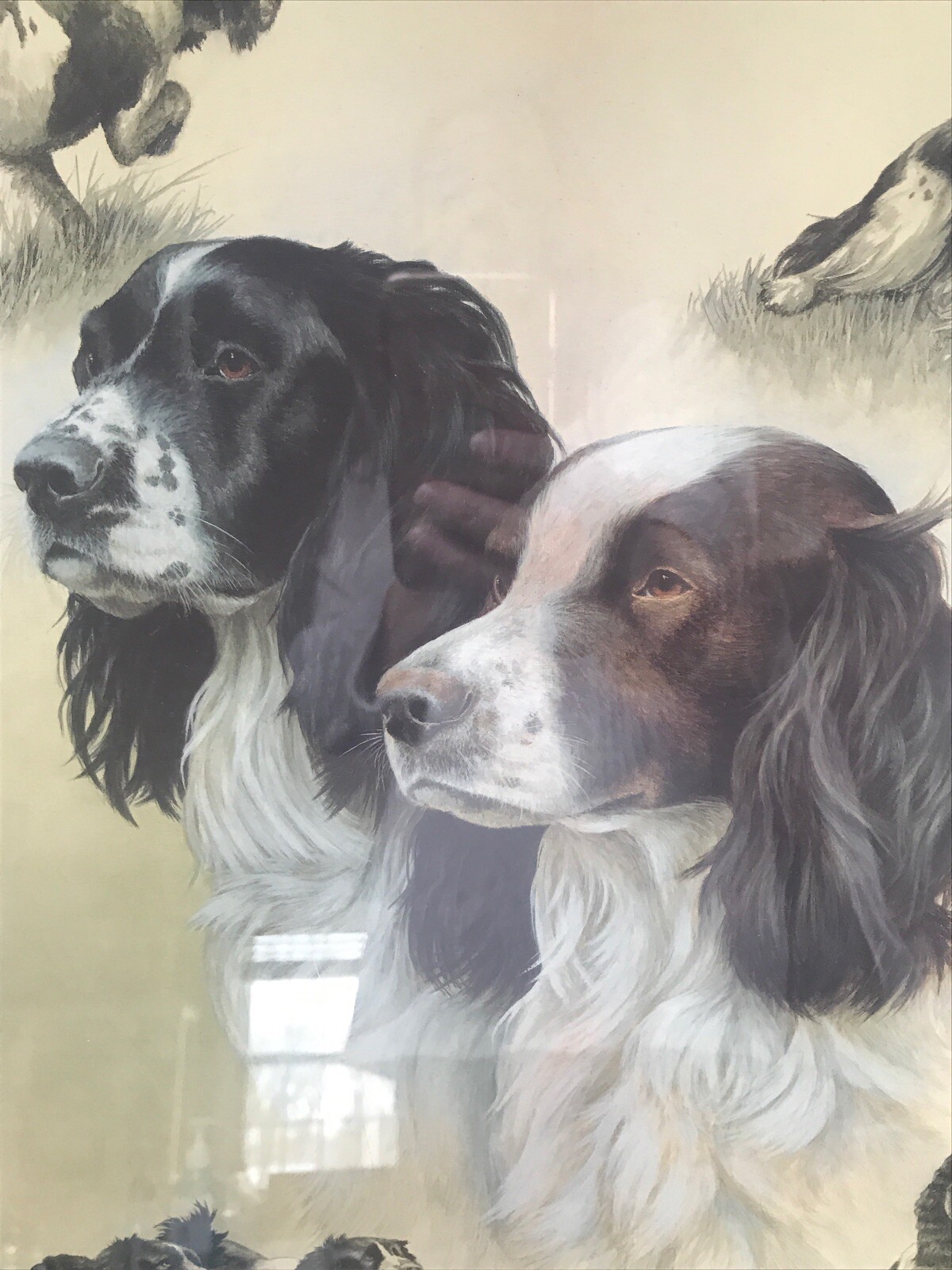 Nigel HEMMING English Springer Spaniel Working hunting Gun Dog , framed ...