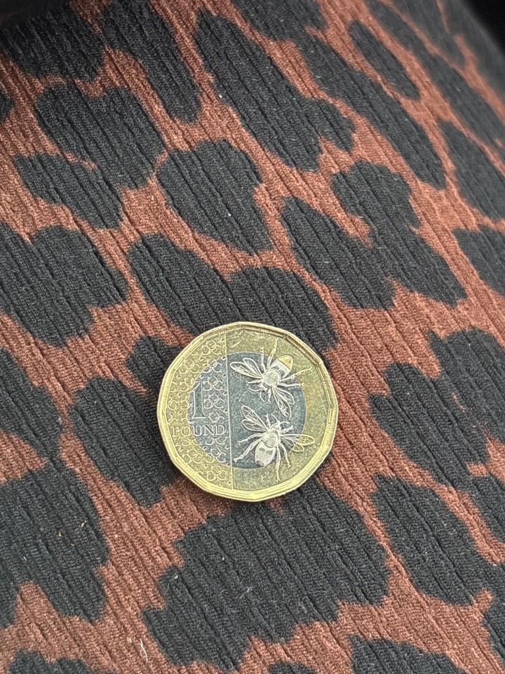2023 1 one pound coin bees | eBay UK