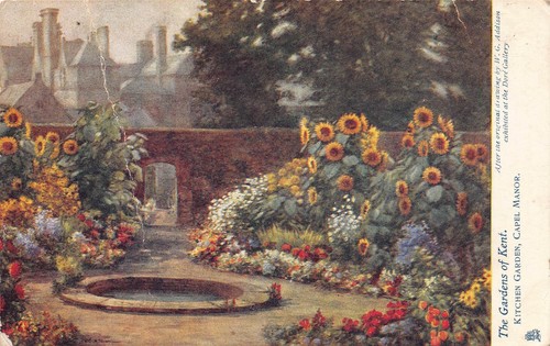 Kitchen Garden Capel Manor Kent Tucks 6237 Oilette Postcard (B417 ...