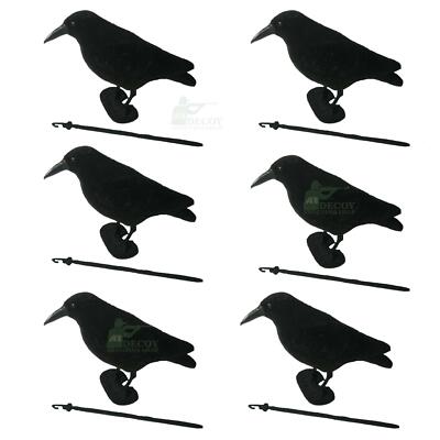 6x Flocked Crow Rook Raven Full Body Decoys. With Feet & Stake HIGH ...