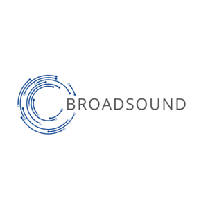 Broad Sound Sales | eBay Stores
