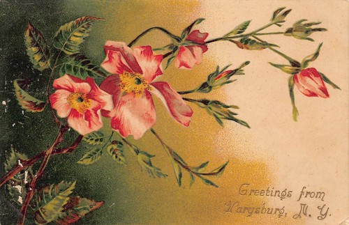 J91/ Varysburg New York Postcard c1910 Greetings from 158 | eBay