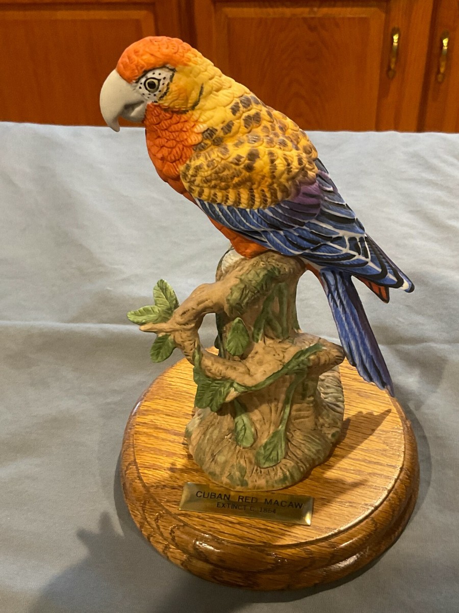 Cuban Red Macaw Extinct