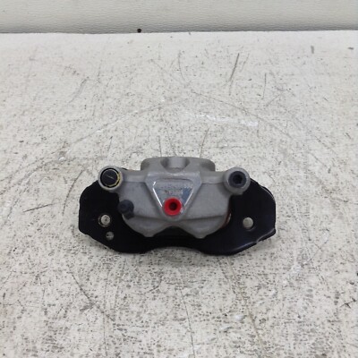 Hayes 4313706 Brake Caliper Unit New (TSC) | eBay