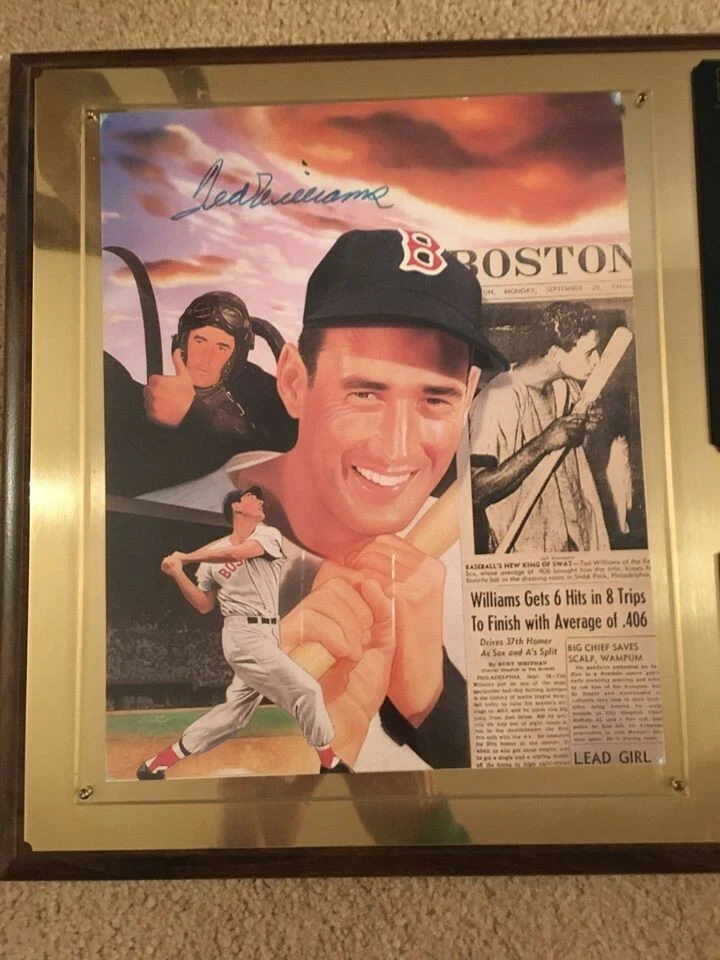 Ted Williams Baseball Card Stats