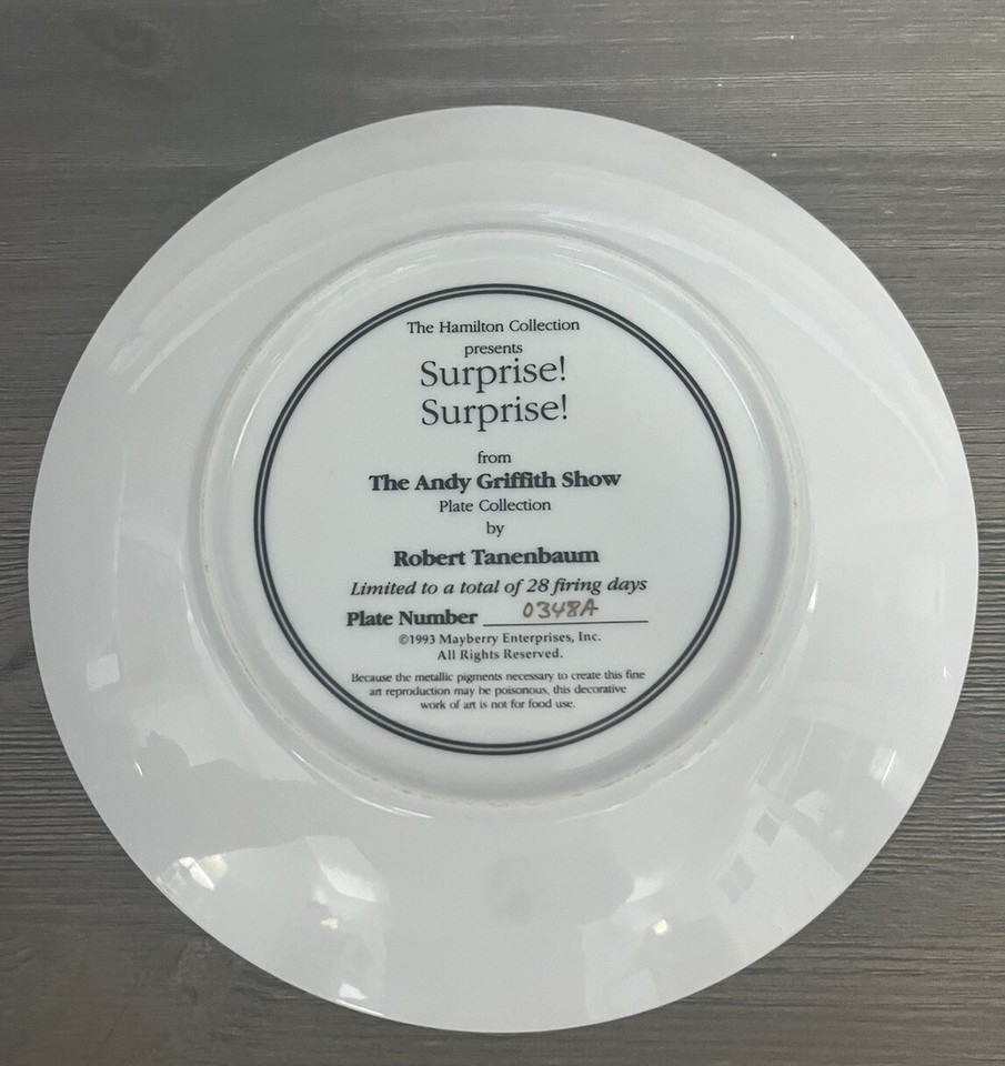SURPRISE! SURPRISE! Plate The Andy Griffith Show Robert Tanenbaum ...