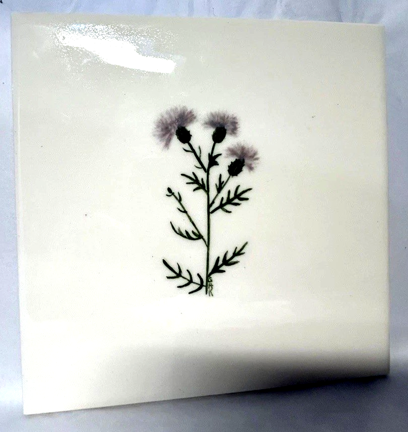 2pc Vintage - “Old Spouter” Nantucket Pottery Gallery Wildflower Tiles ...