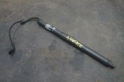 Left Trunk Lid Lift Gate Spindle Drive Cylinder 51247294469 BMW X5 F15 ...