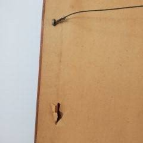 Wood Duck Pair Gene Murray Wildlife Artist Limited Edition Lithograph ...