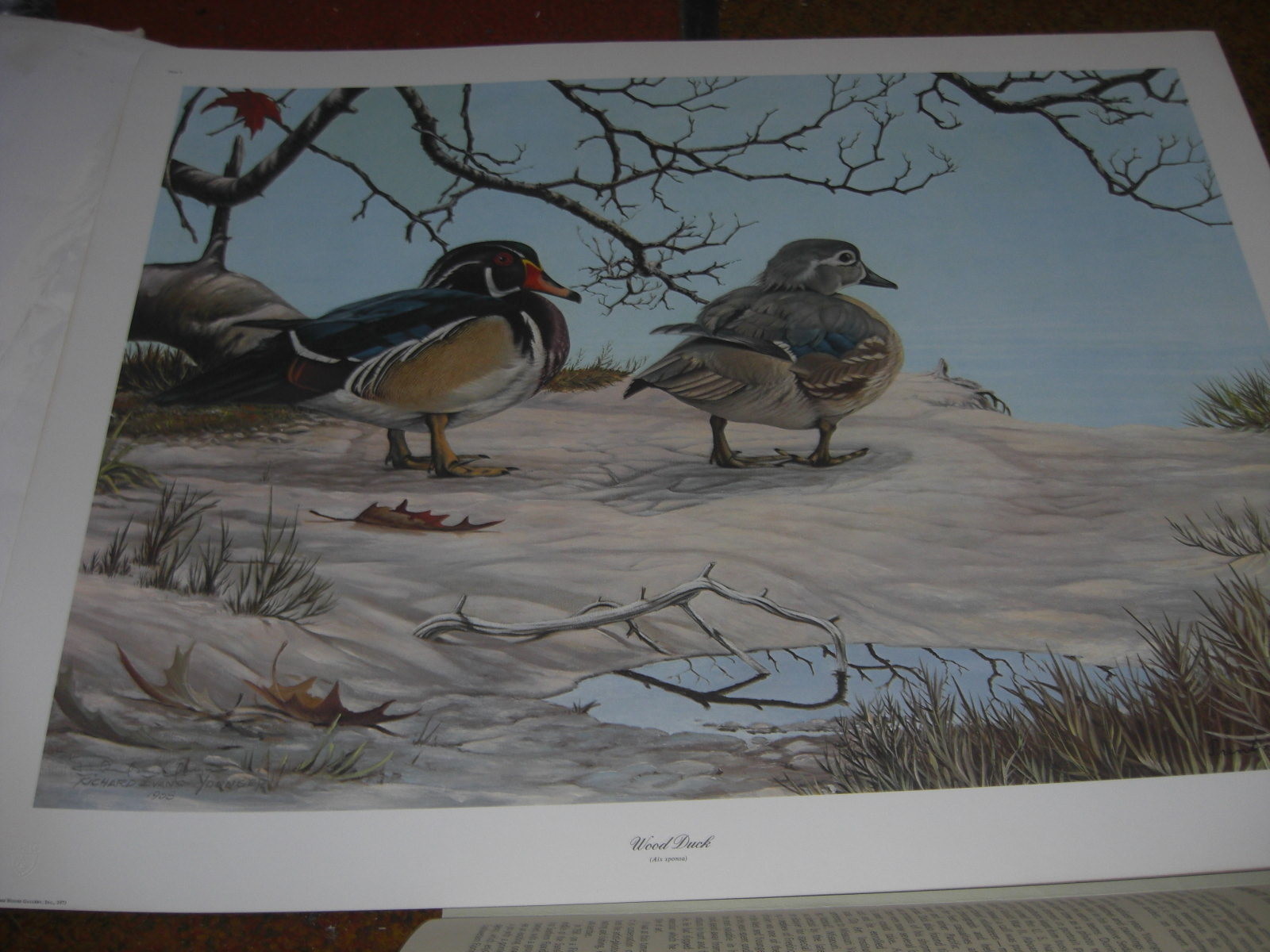 RICHARD EVANS YOUNGER PRINT SIGNED NUMBERED LOT OF 6 PRINTS FRAME HOUSE ...