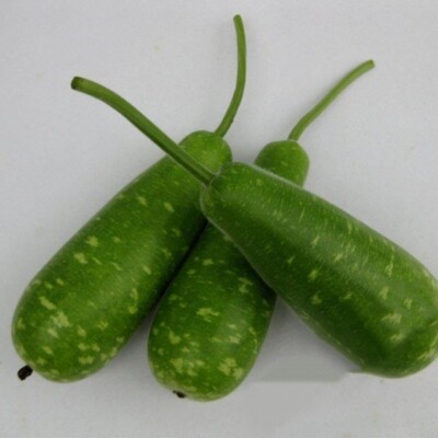 5 Hybrid Gourd seeds | Nam Tao Yai| Asian Squash| Pugua Opo seeds. | eBay