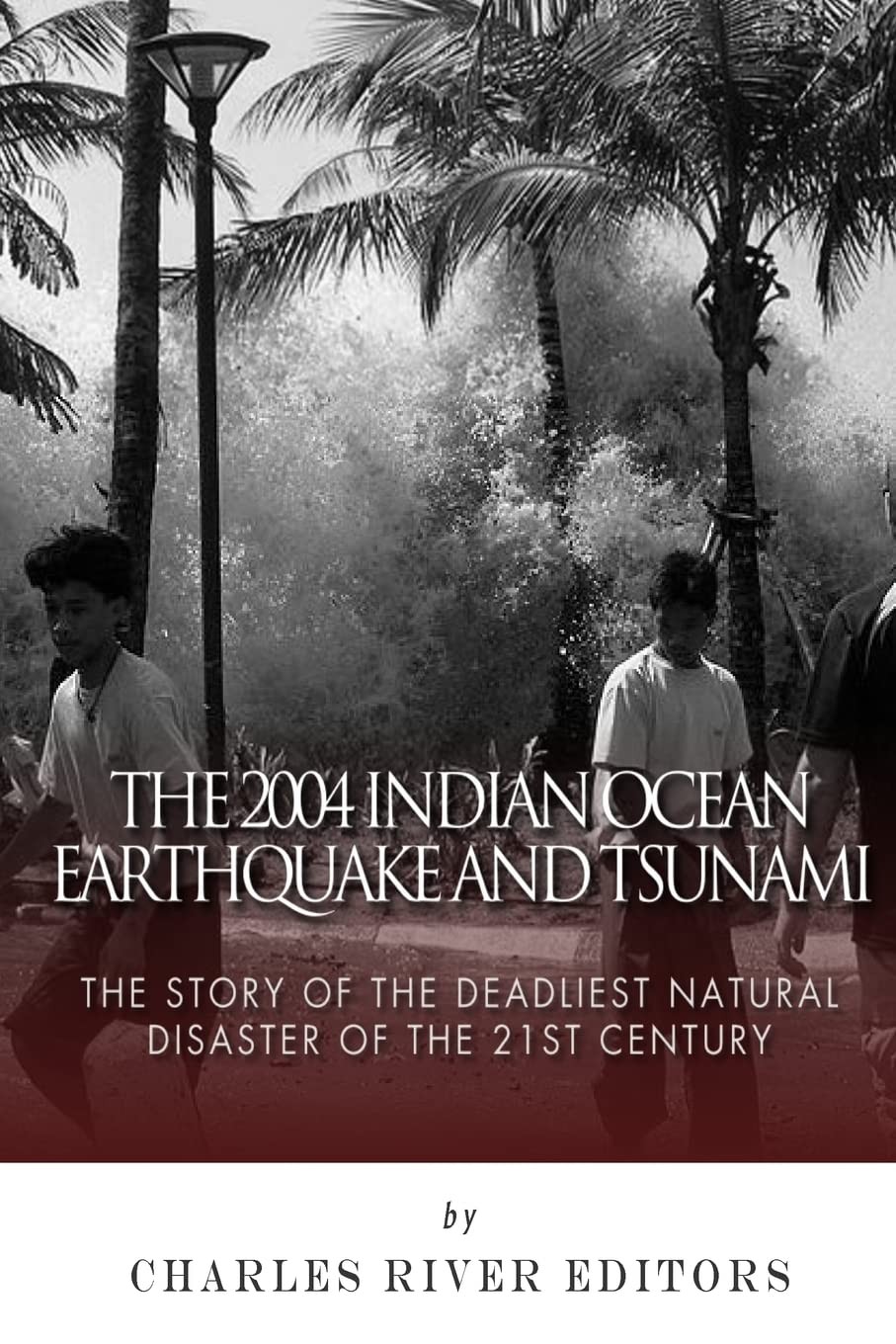 The 2004 Indian Ocean Earthquake and Tsunami: The Story of the ...