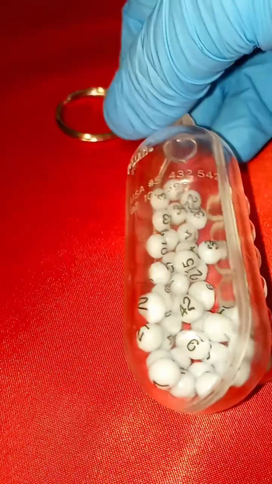 2 Lotto Shake Picker Numbers Keychain Collectible Novelty Winning Balls ...