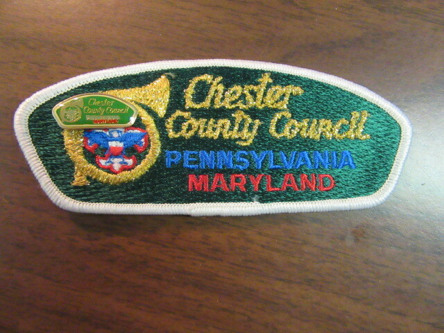 Chester County Council s2b CSP & Council Hat Pin JHC | eBay