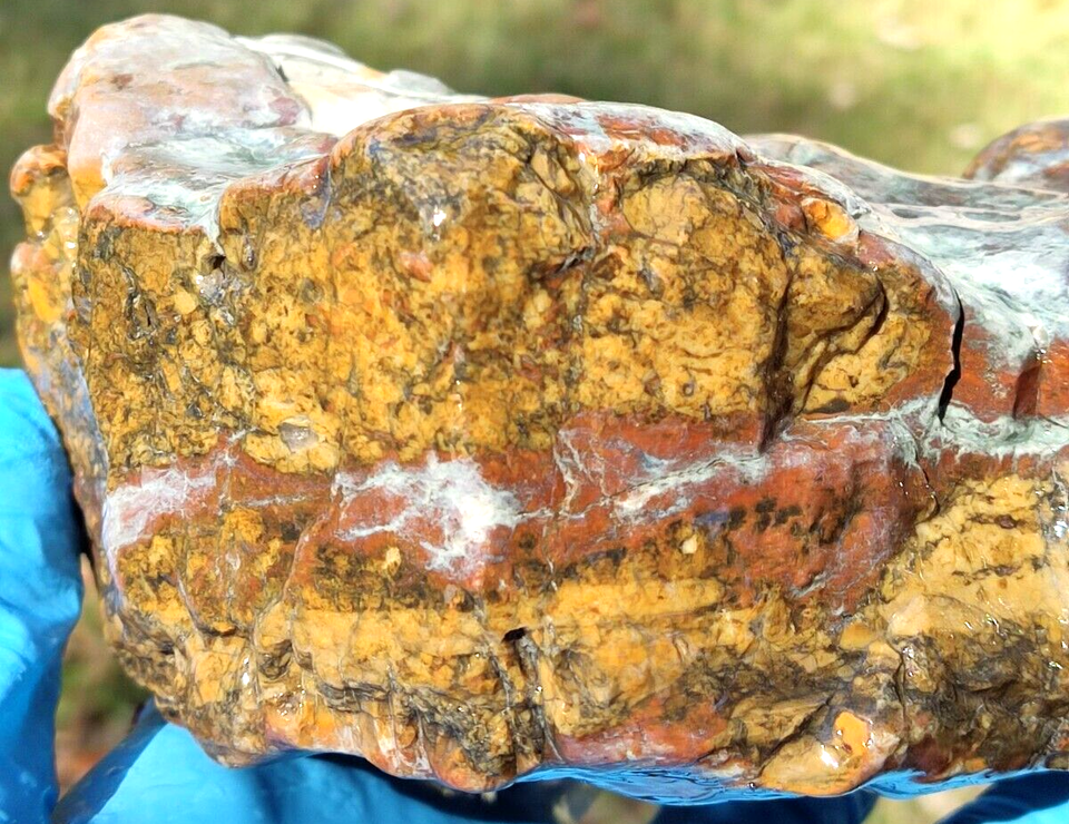 Indian Chert 6 LB Red Yellow Jasper Agate Specimen Crystal Stone Reiki ...