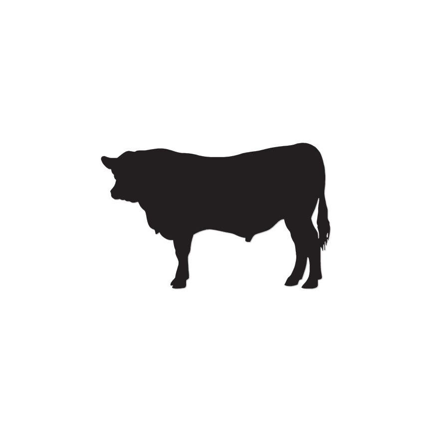 Angus Cow Bull Cattle - Vinyl Decal Sticker - Multiple Color & Sizes ...