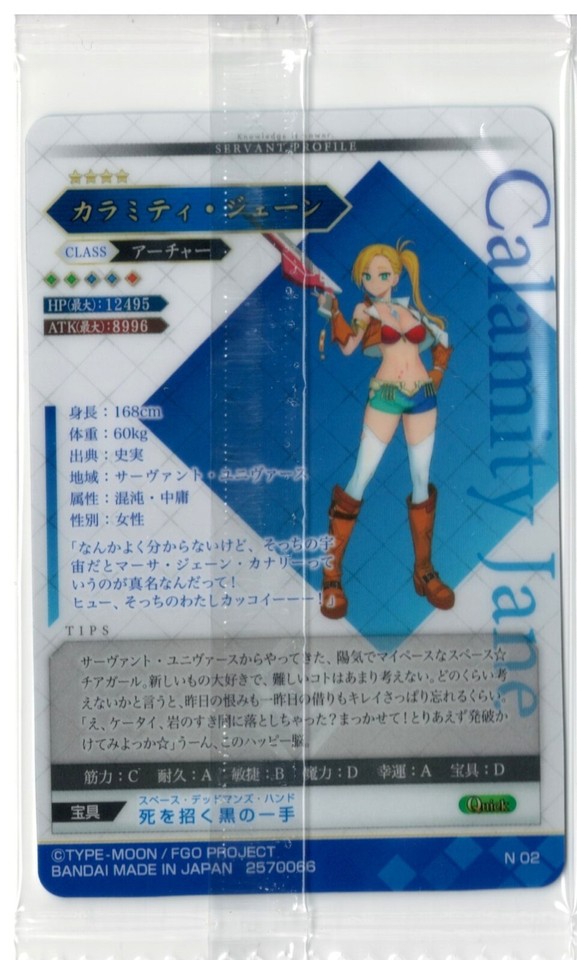 Archer Calamity Jane [N 02] Fate Grand Order FGO BANDAI Wafer Card ...