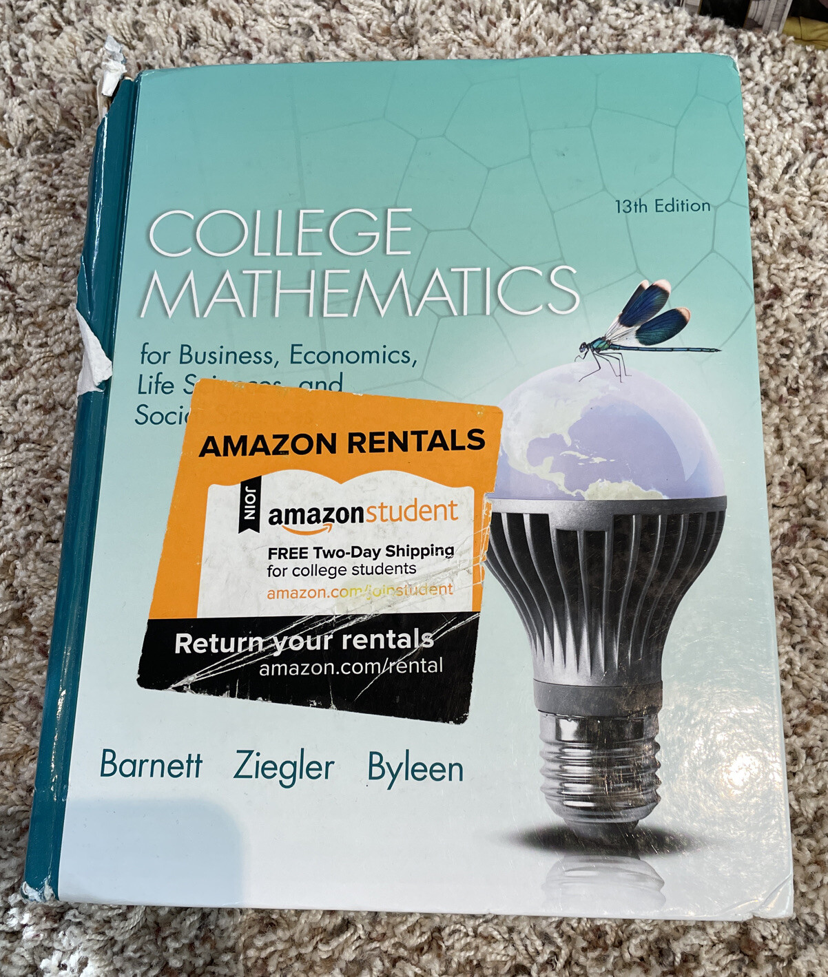 College Mathematics for Business Economics, Life Sciences and Social ...