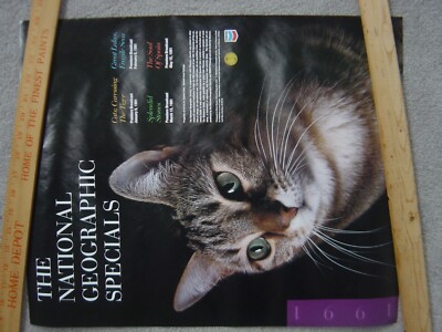 NGS National Geographic Society 1991 Poster TV Specials CATS/STONES EXC ...