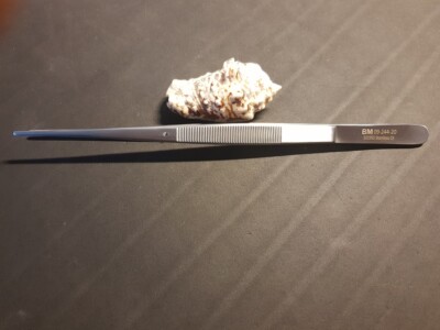 Brophy Anatomische Pinzette 20cm fein ähnlich BD246R Dissecting Forceps ...