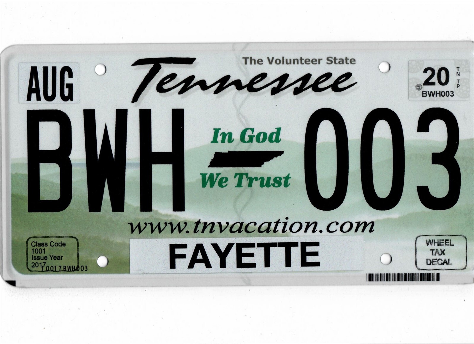TENNESSEE 2020 license plate "BWH 003" **NATURAL**MINT**FAYETTE**IN GOD ...