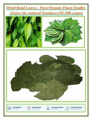 Dried Betel Leaves Pure Organic Finest Quality, 25 – 500 Counts Leaves ...
