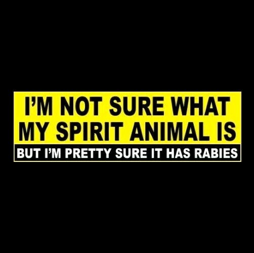 Spirits Memes Spirit Animal Meme By Dfish33 :) Memedroid
